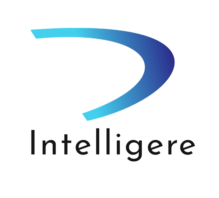 Intelligere: Automating Accounting, Saving Time, Ensuring Accuracy